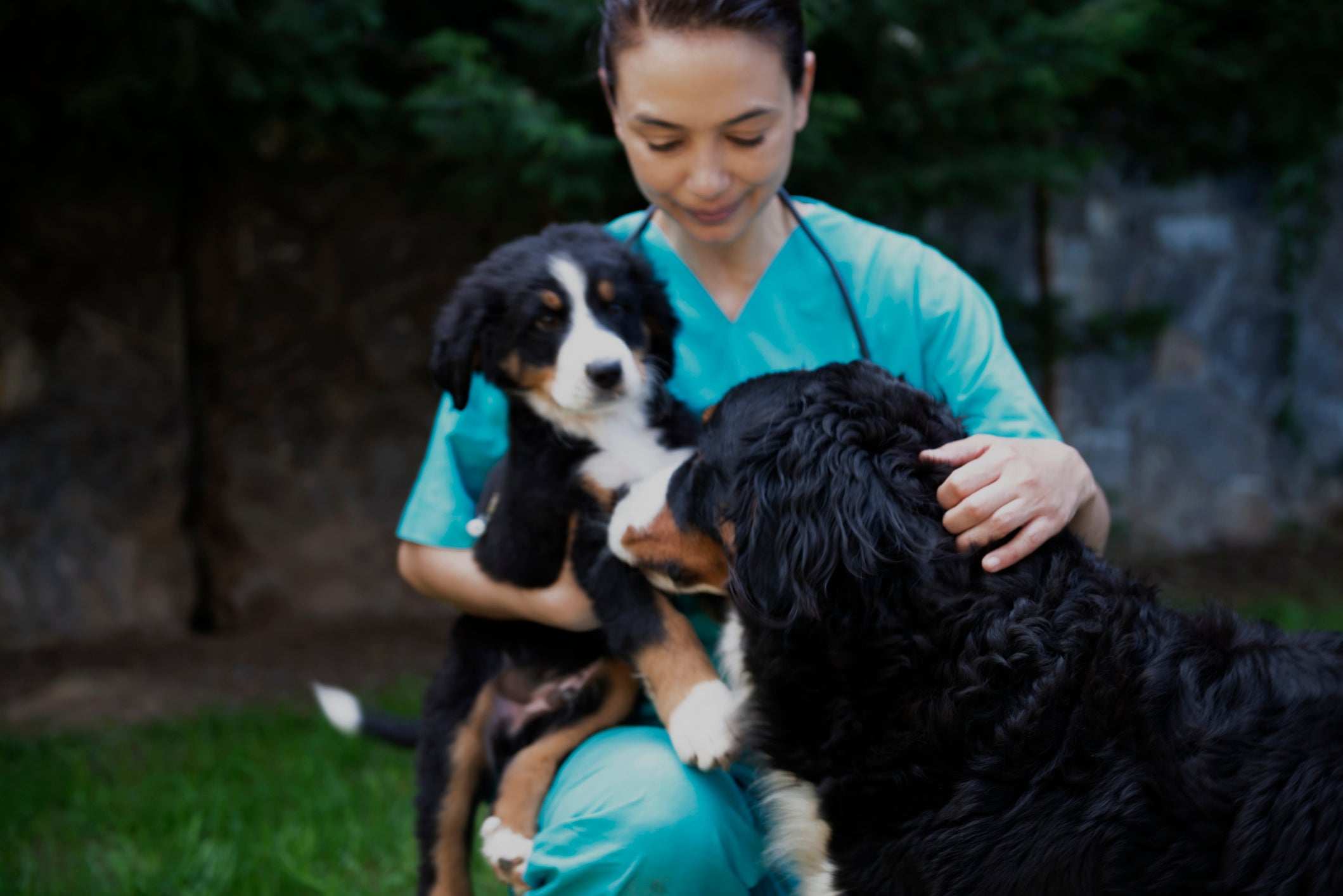 Canine Breeder Excellence Seminar Series