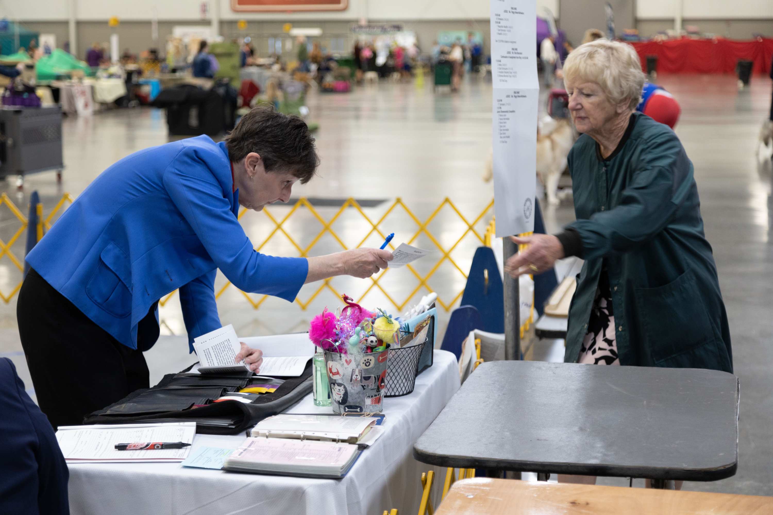 Stewarding at the Dog Show