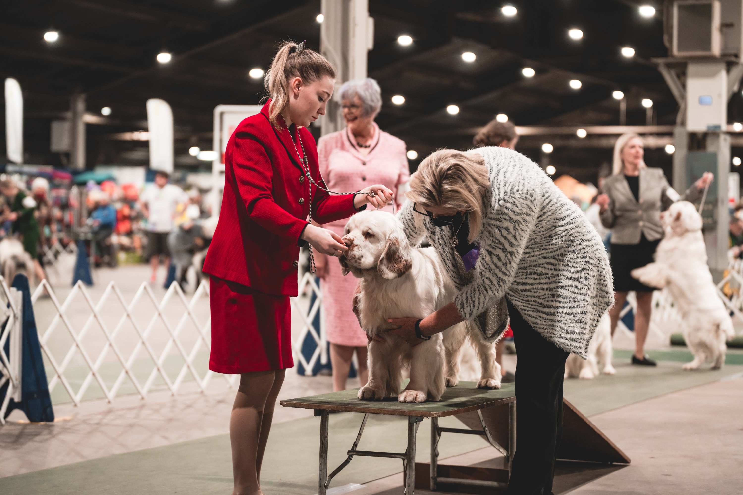 AKC Canine College - Judges Recertification Exam Version A