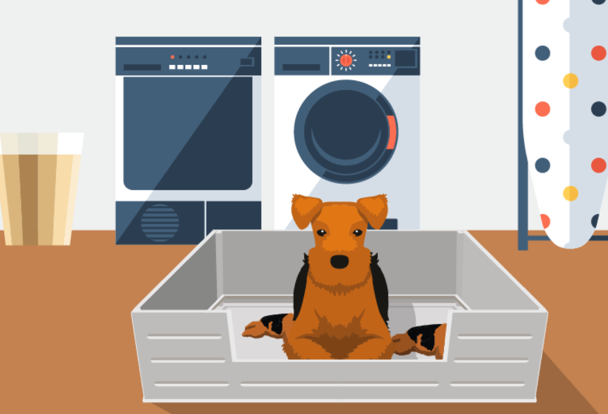 AKC Canine College - Maternity