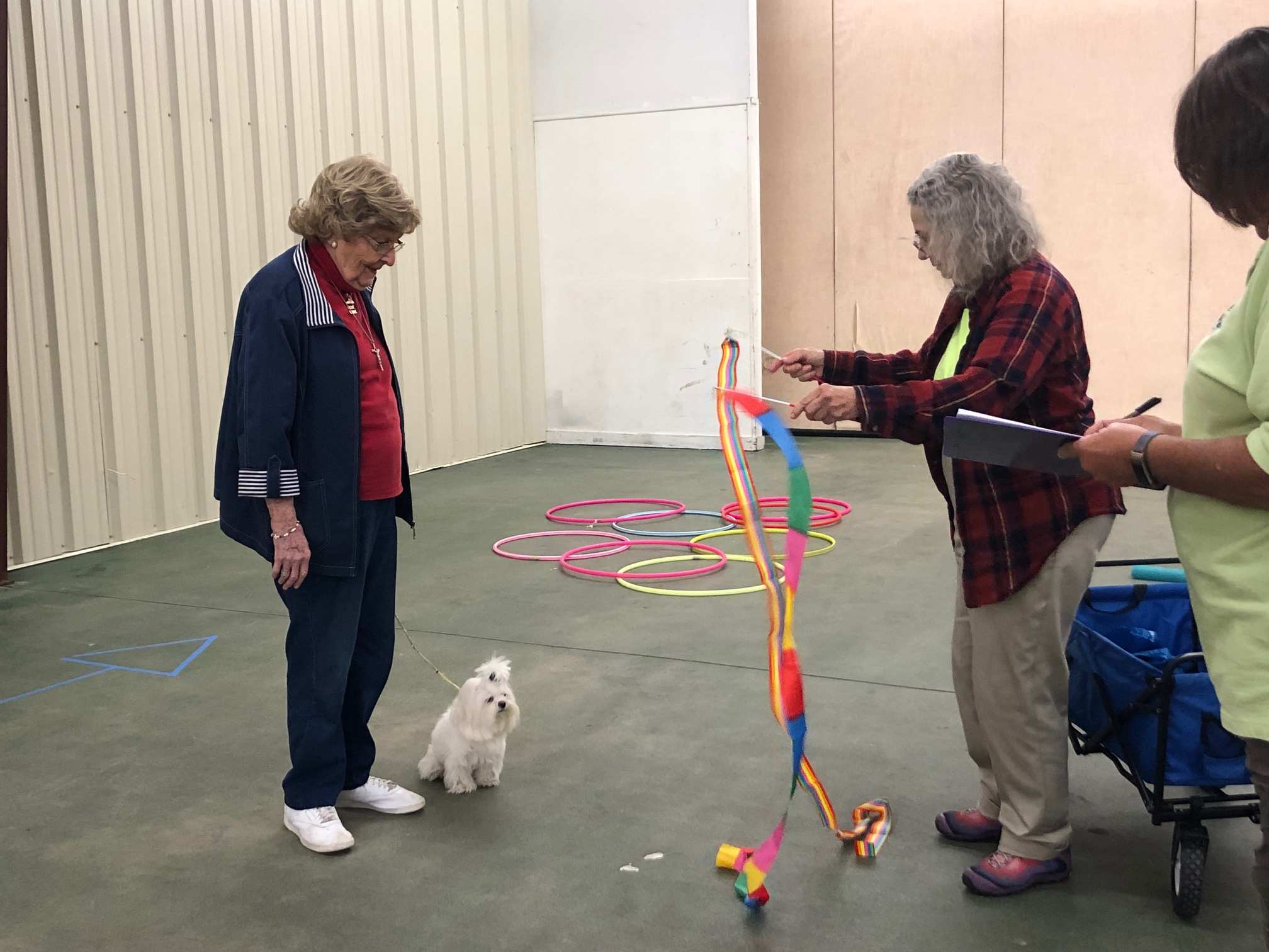 - AKC Temperament Test for Evaluators